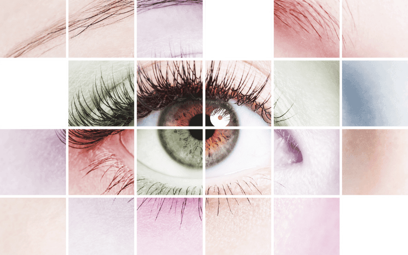 Visual Field Testing (Perimetry): An Overview - Eyeonic
